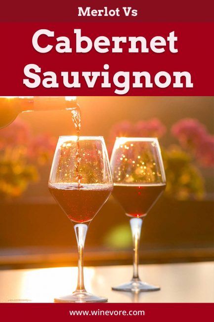 Merlot Vs Cabernet Sauvignon - Winevore