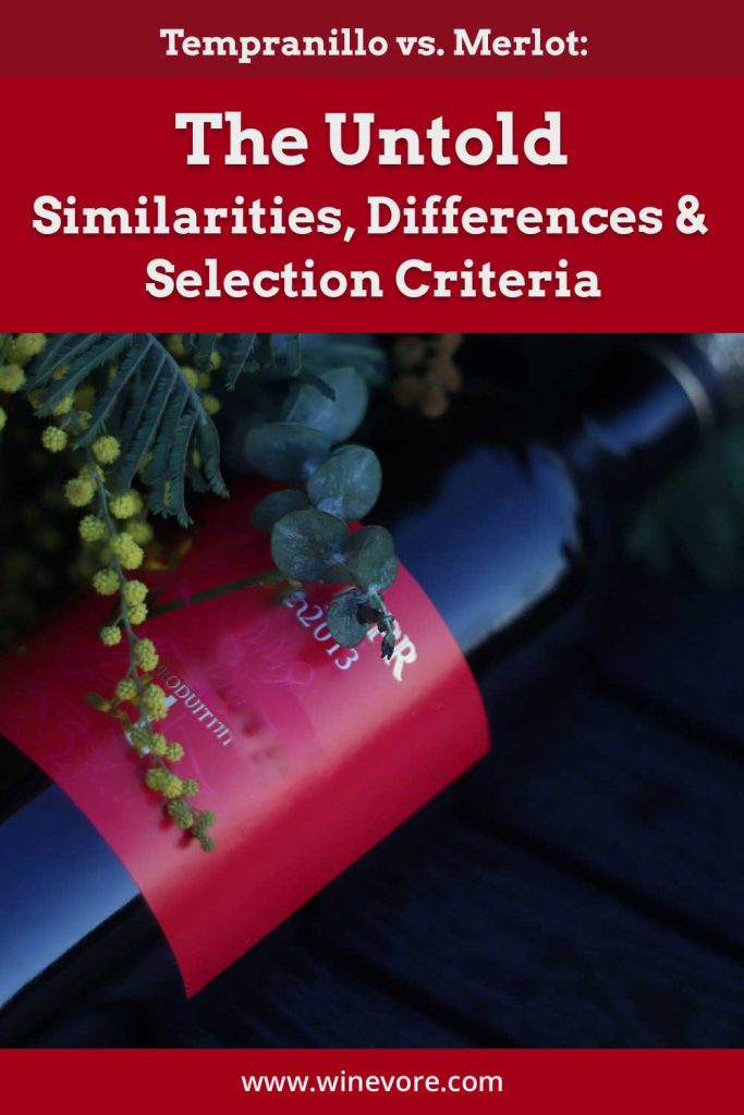 Tempranillo vs. Merlot: The Untold Similarities, Differences ...