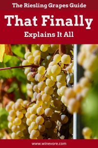 The Riesling Grapes Guide That Finally Explains It All - Winevore