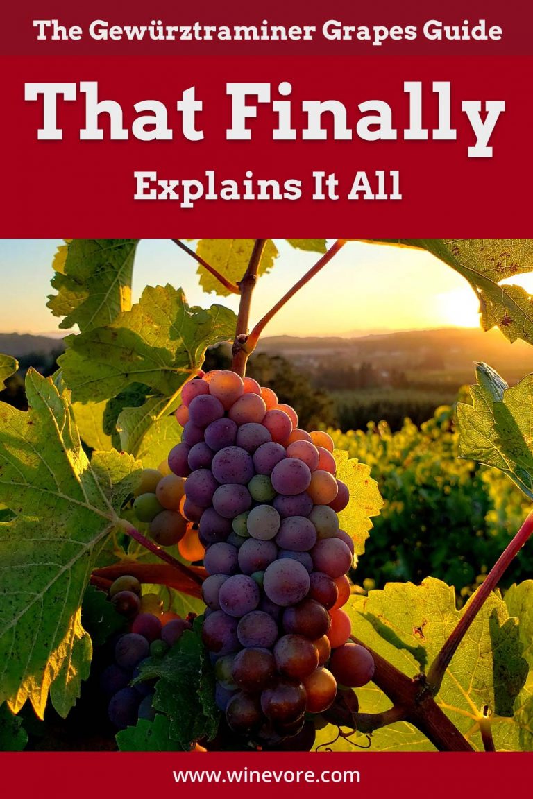The Gewürztraminer Grapes Guide That Finally Explains It All - Winevore