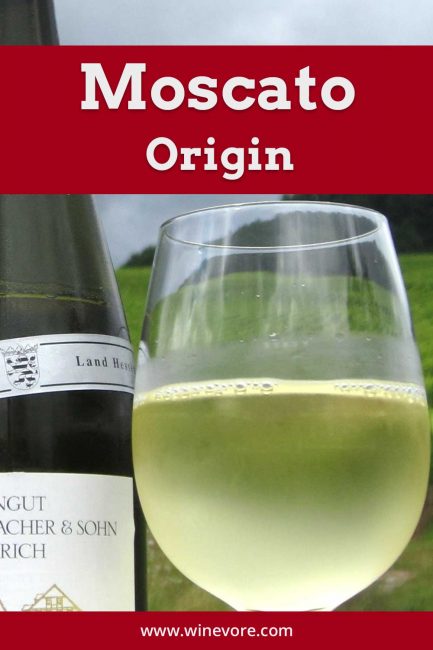 Moscato Origin - Winevore