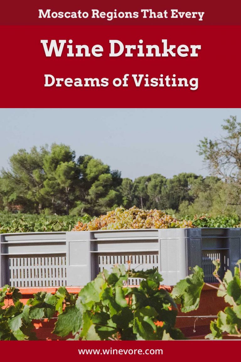 Moscato Regions That Every Wine Drinker Dreams of Visiting - Winevore
